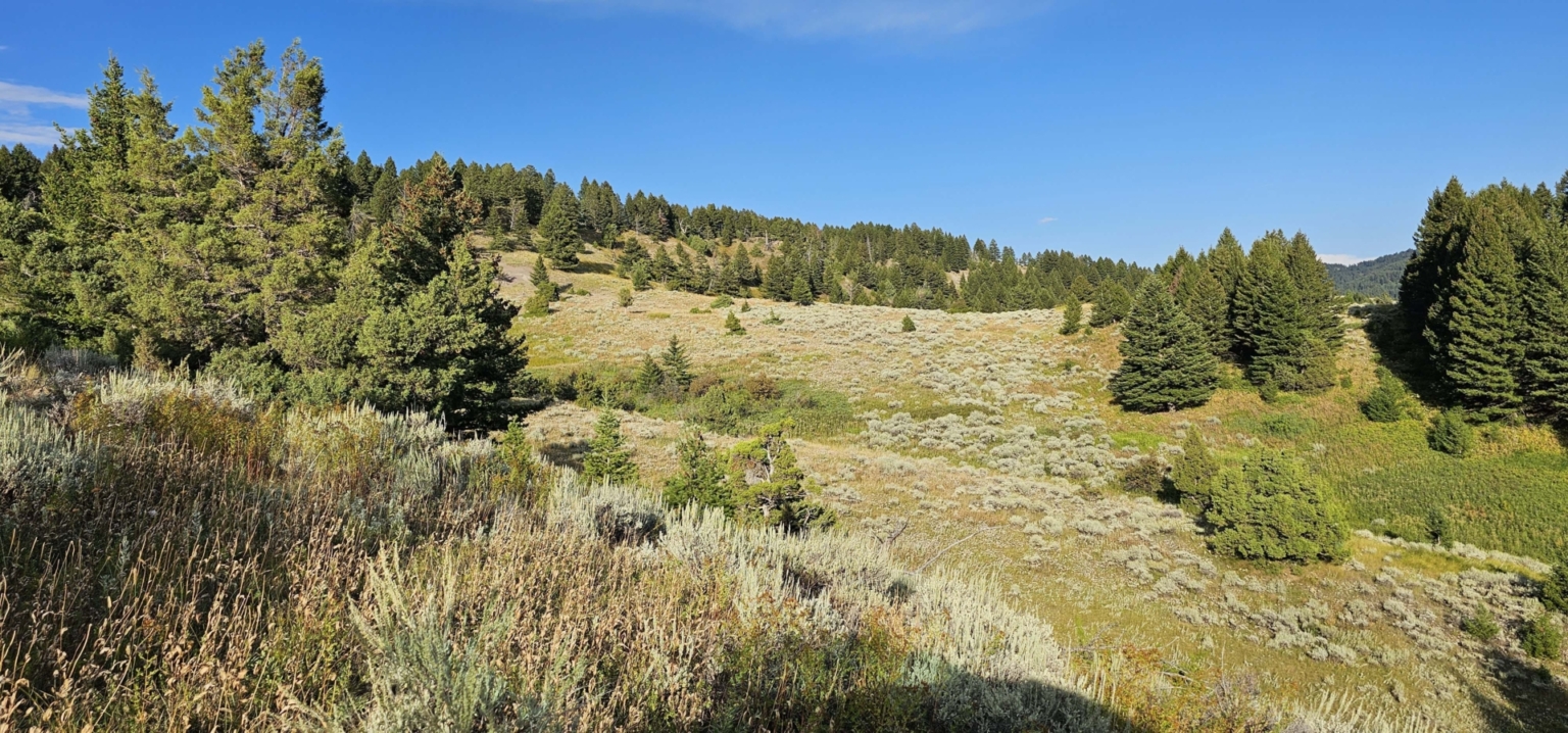 Kelly Canyon Ranch | Bozeman Montana | Fay Ranches