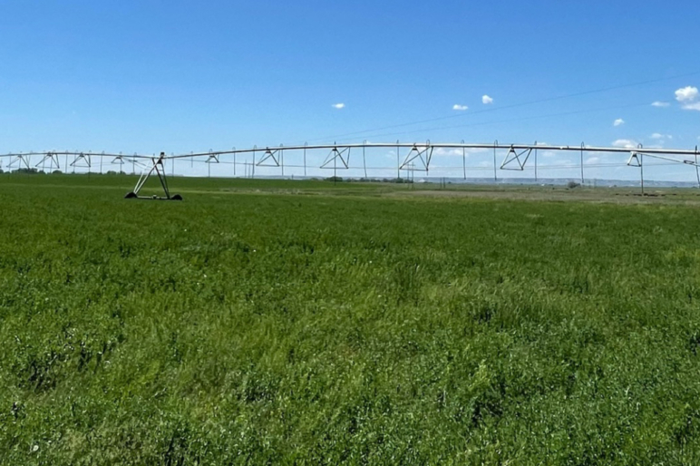 Wyoming Ranch Land Properties For Sale | Fay Ranches