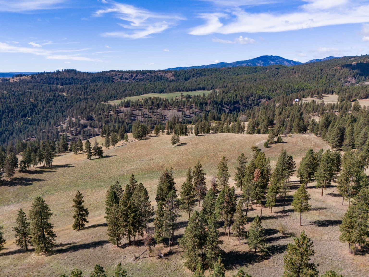 Hansen Ridge Ranch | Anatone Washington | Fay Ranches