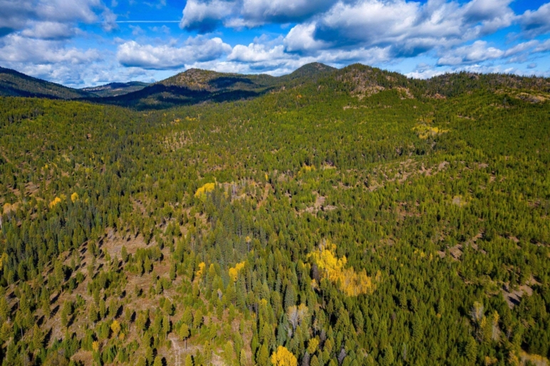 Storm King Ranch | Republic Washington | Fay Ranches