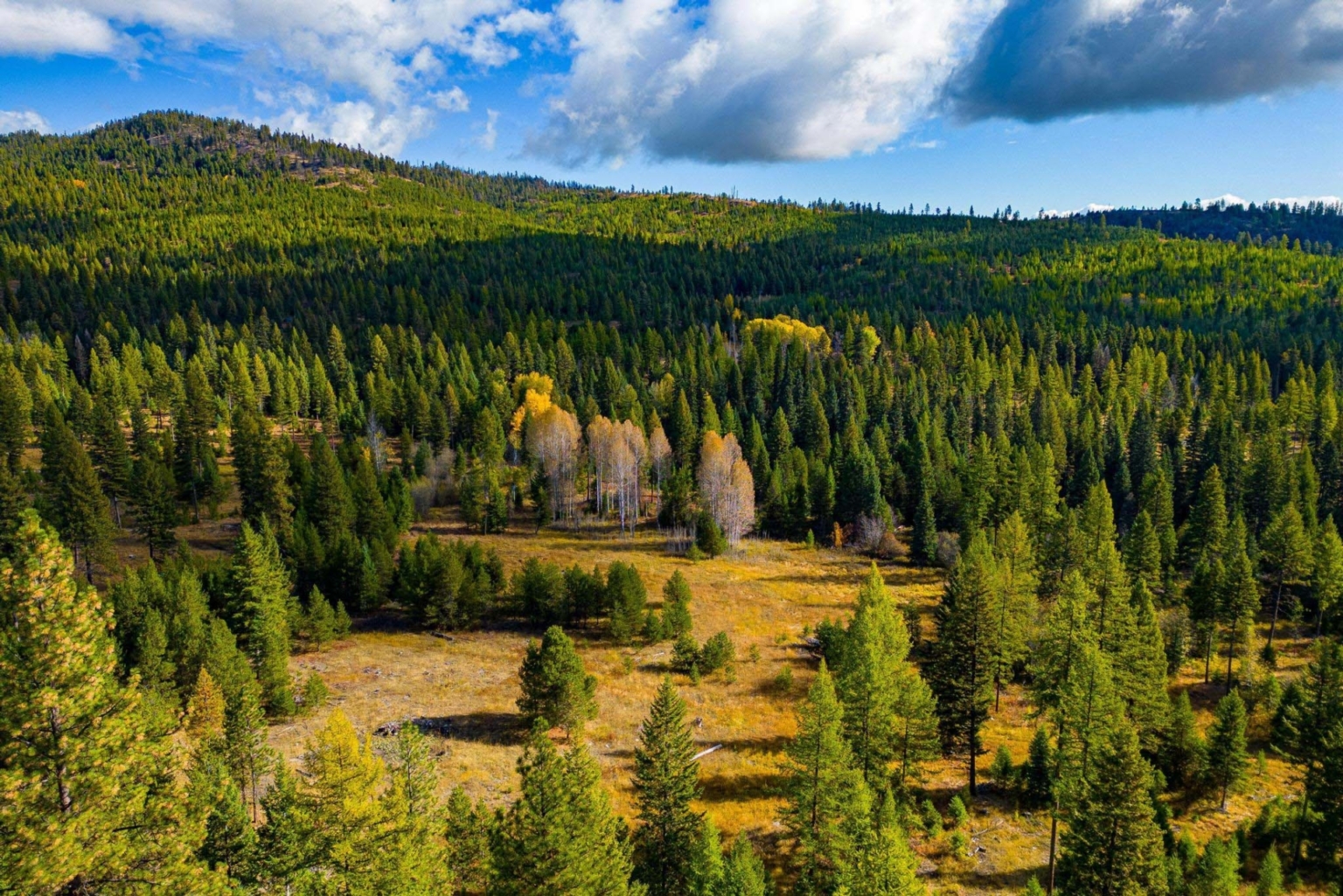 Storm King Ranch | Republic Washington | Fay Ranches