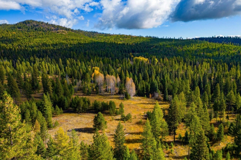 Storm King Ranch | Republic Washington | Fay Ranches