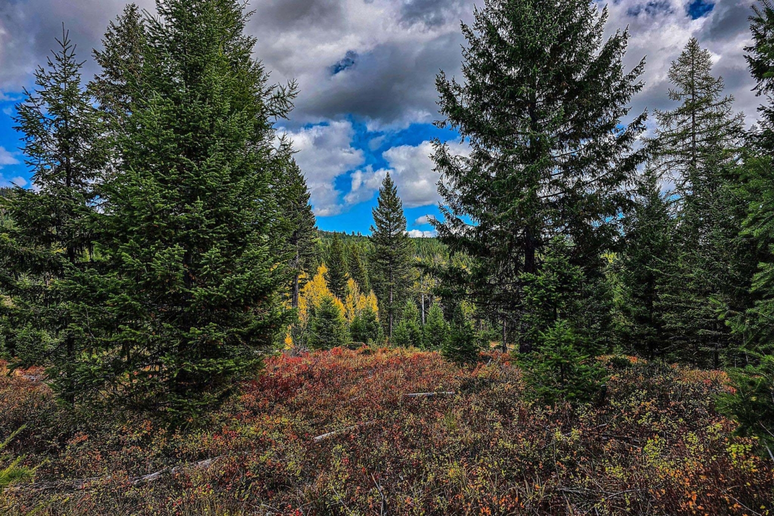 Storm King Ranch | Republic Washington | Fay Ranches