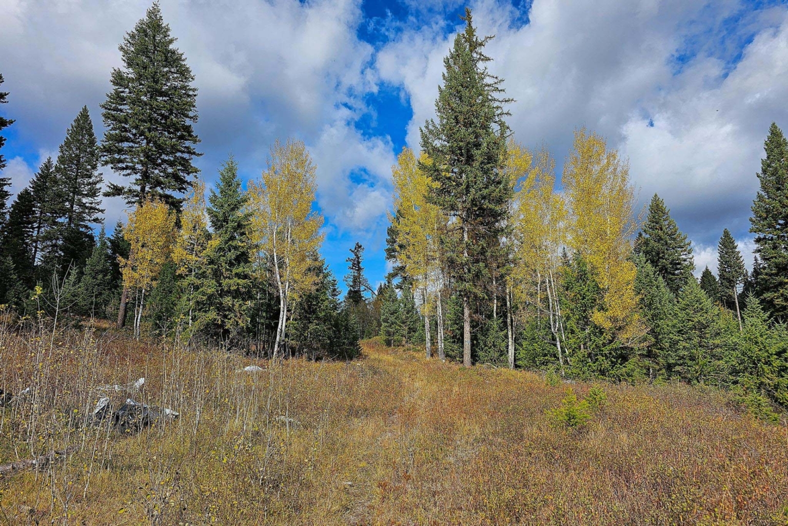 Storm King Ranch | Republic Washington | Fay Ranches
