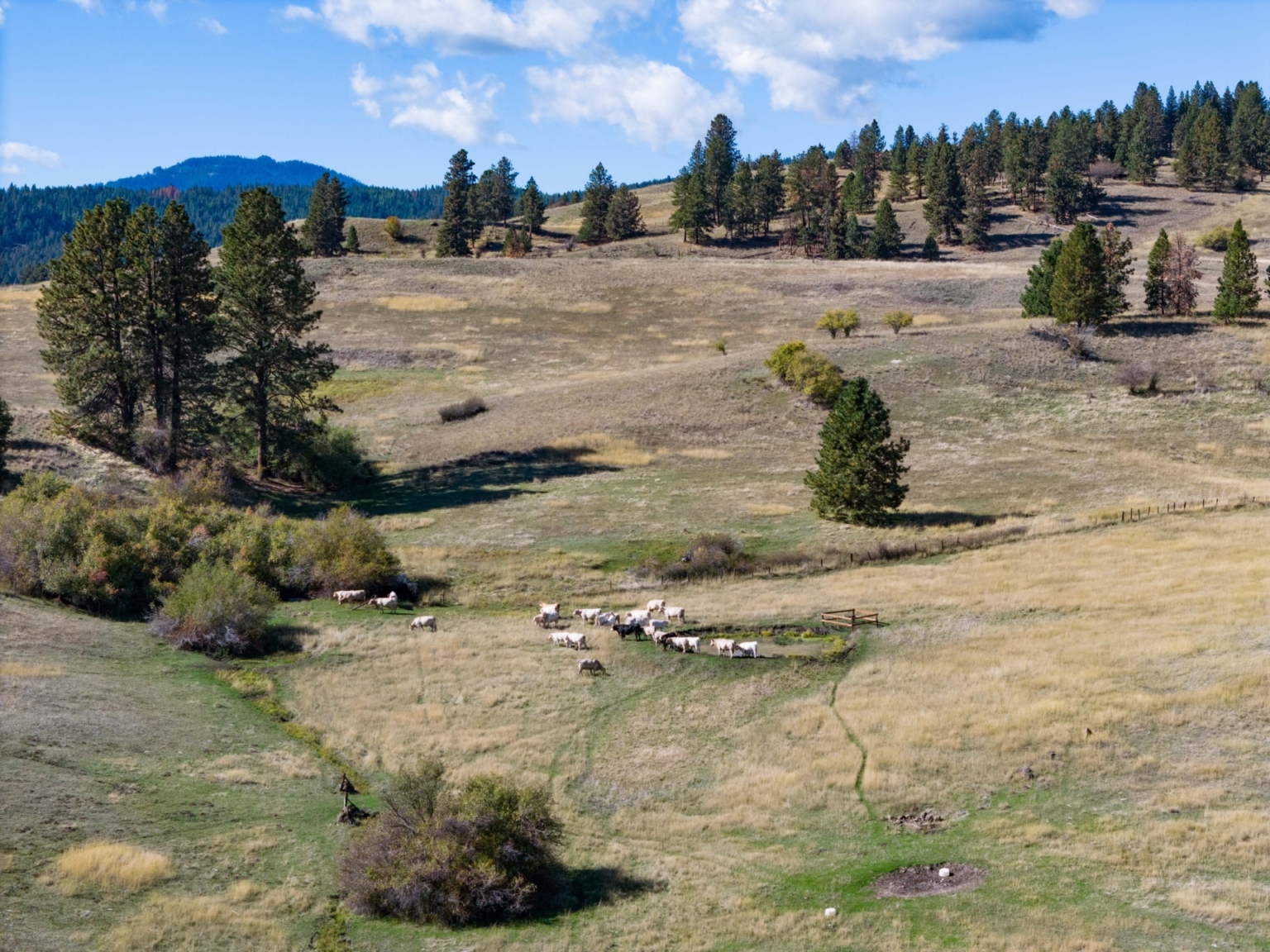 Hansen Ridge Ranch | Anatone Washington | Fay Ranches