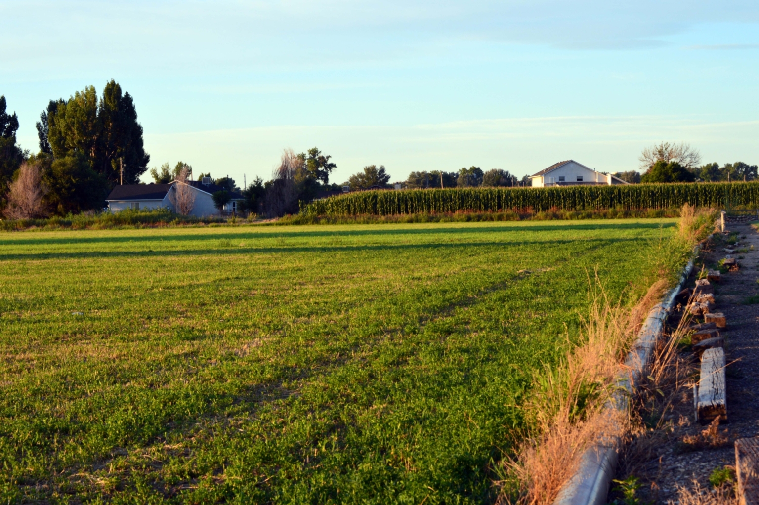 Williams Farm & Seed Company | Pueblo Colorado | Fay Ranches