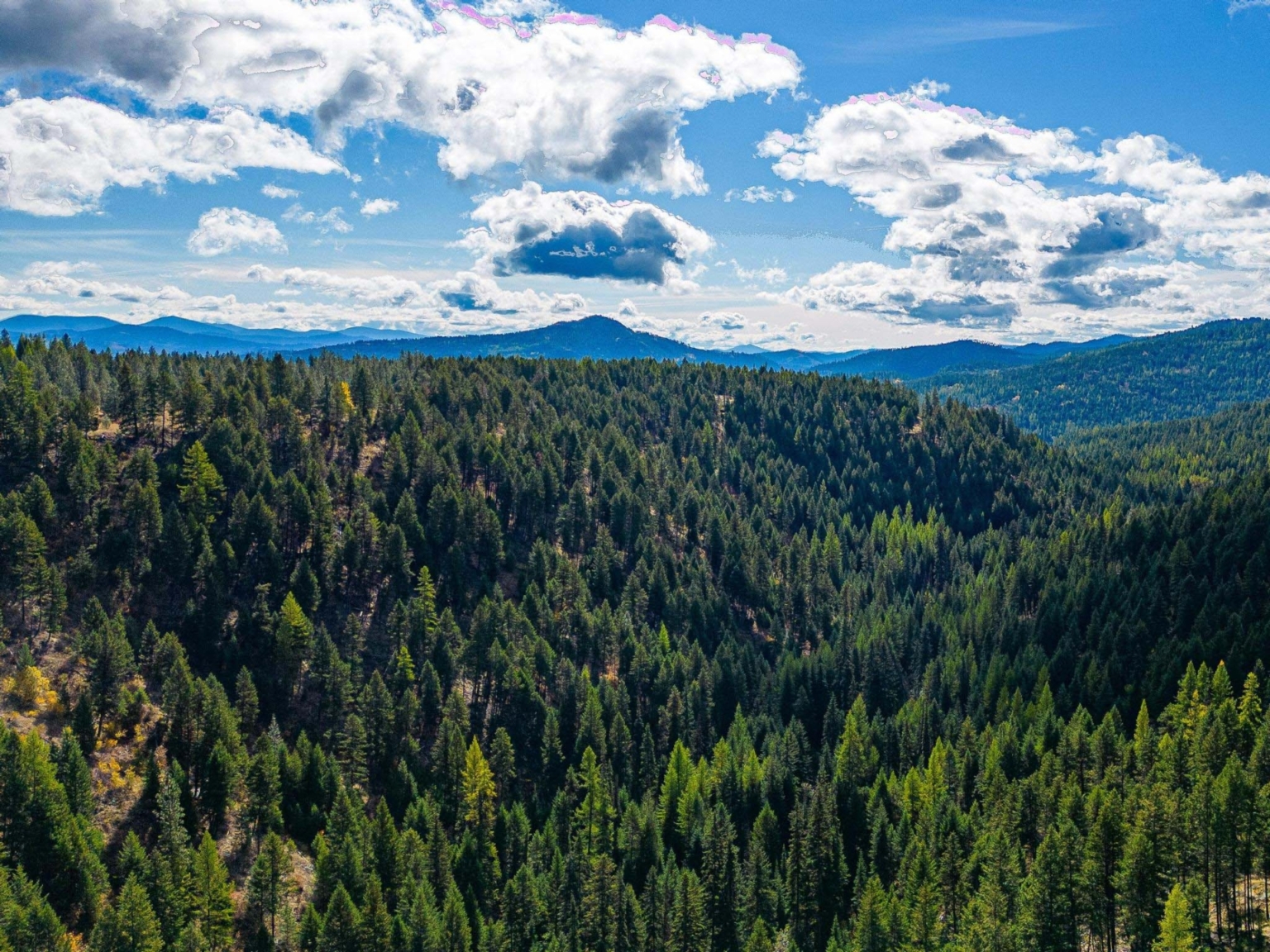 Storm King Ranch | Republic Washington | Fay Ranches