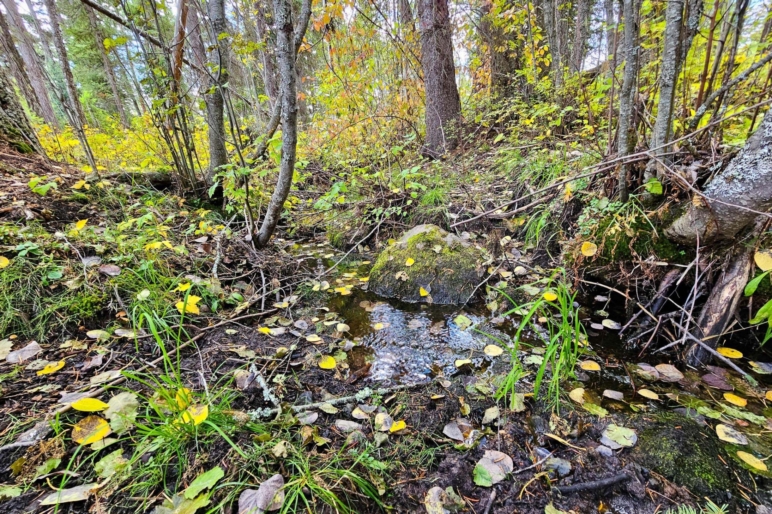 Storm King Ranch | Republic Washington | Fay Ranches