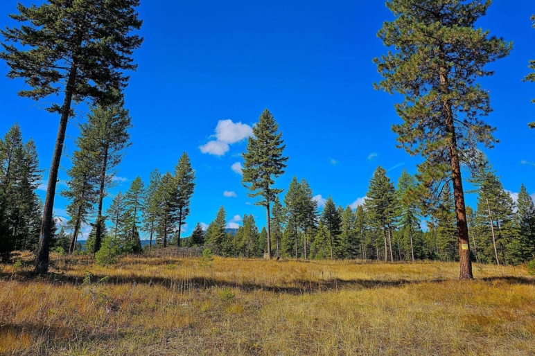 Storm King Ranch | Republic Washington | Fay Ranches