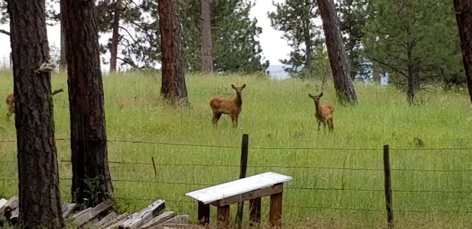 Hansen Ridge Ranch | Anatone Washington | Fay Ranches