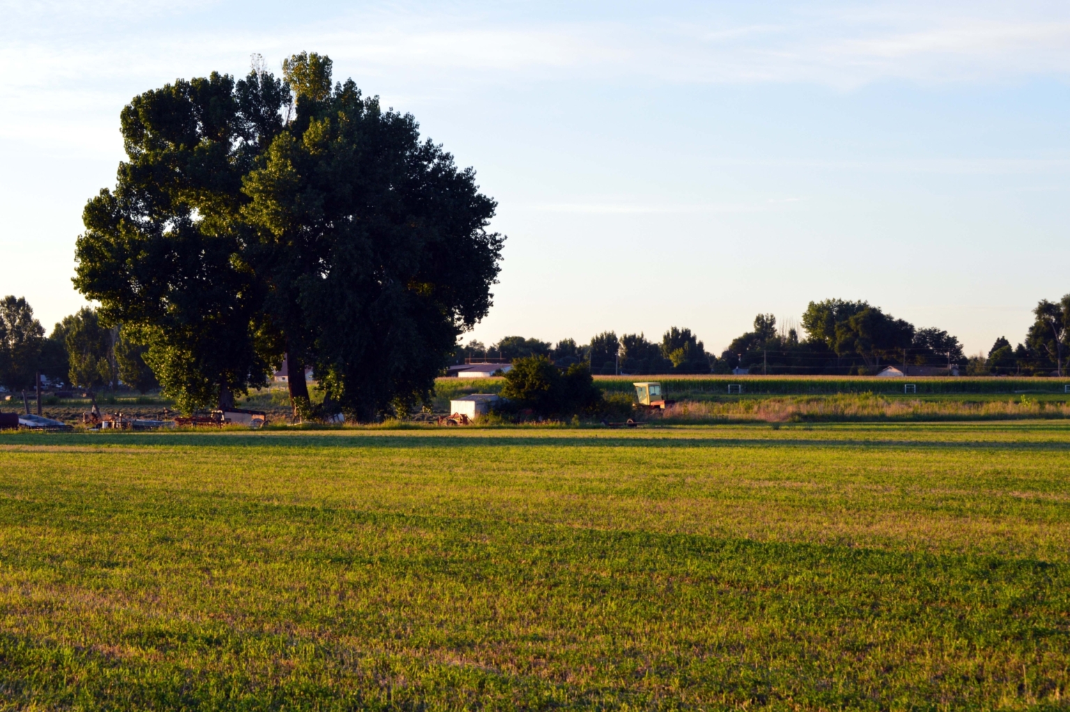 Williams Farm & Seed Company | Pueblo Colorado | Fay Ranches