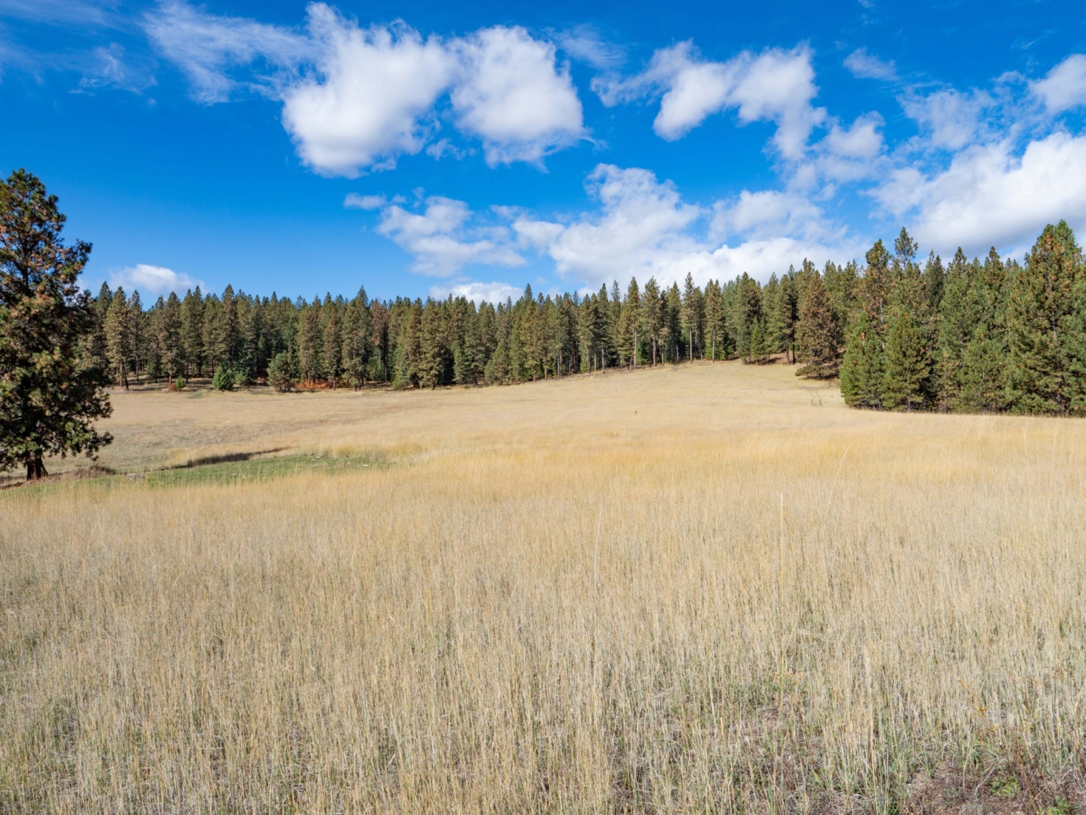 Hansen Ridge Ranch | Anatone Washington | Fay Ranches