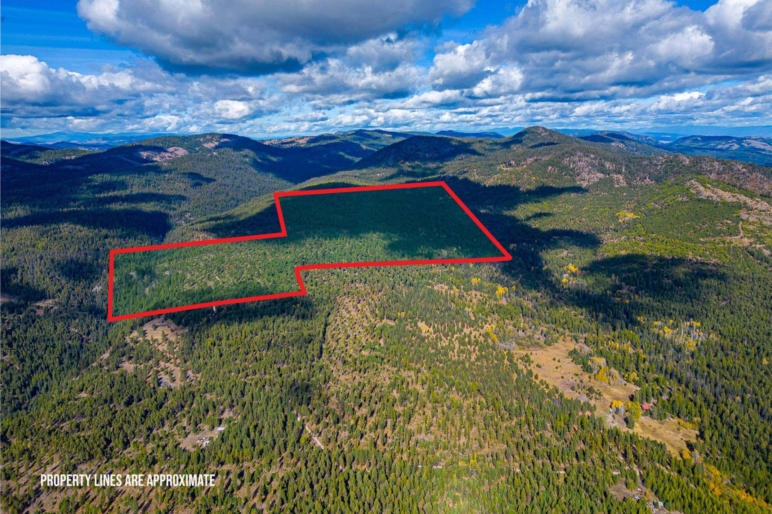 Storm King Ranch | Republic Washington | Fay Ranches