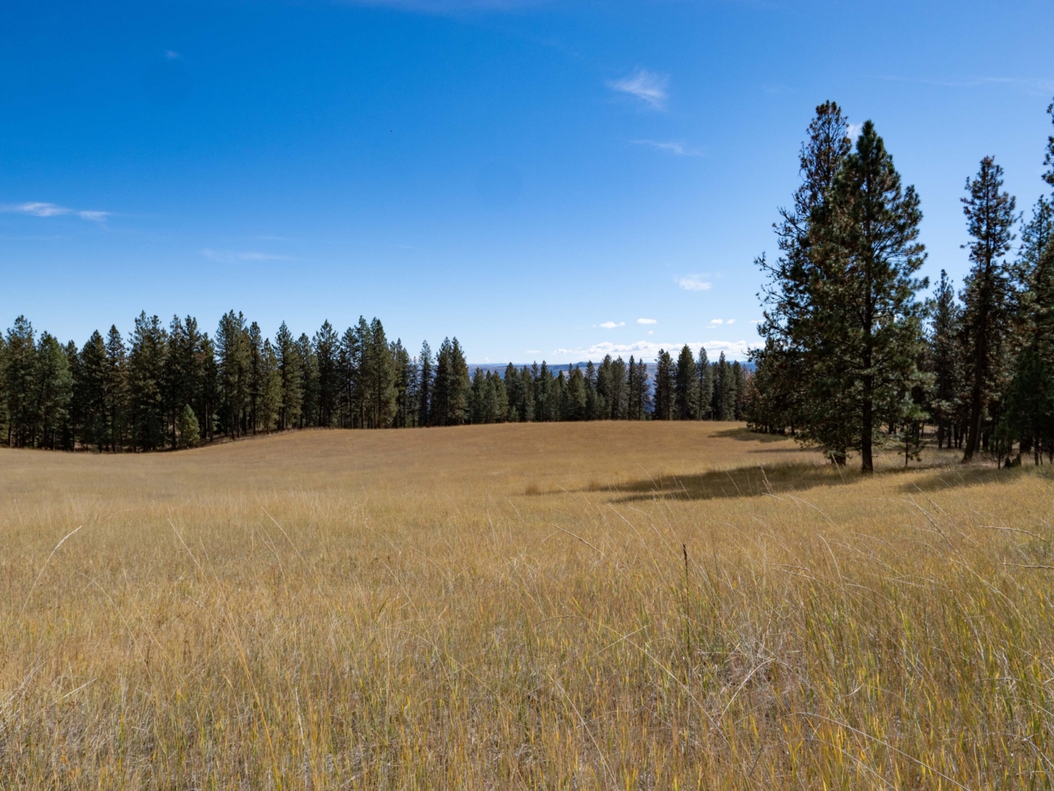 Hansen Ridge Ranch | Anatone Washington | Fay Ranches