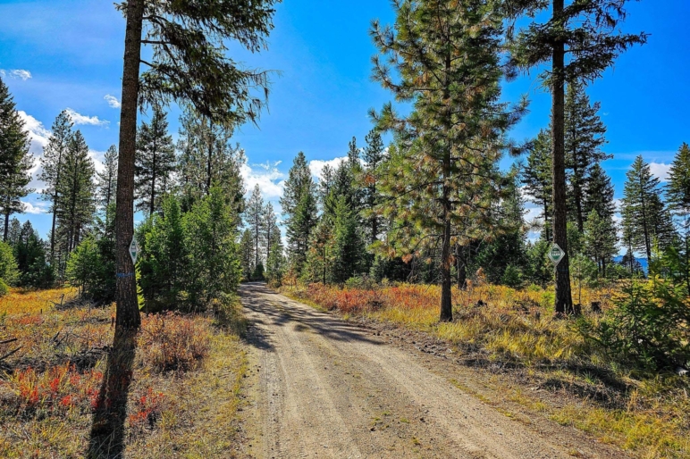 Storm King Ranch | Republic Washington | Fay Ranches