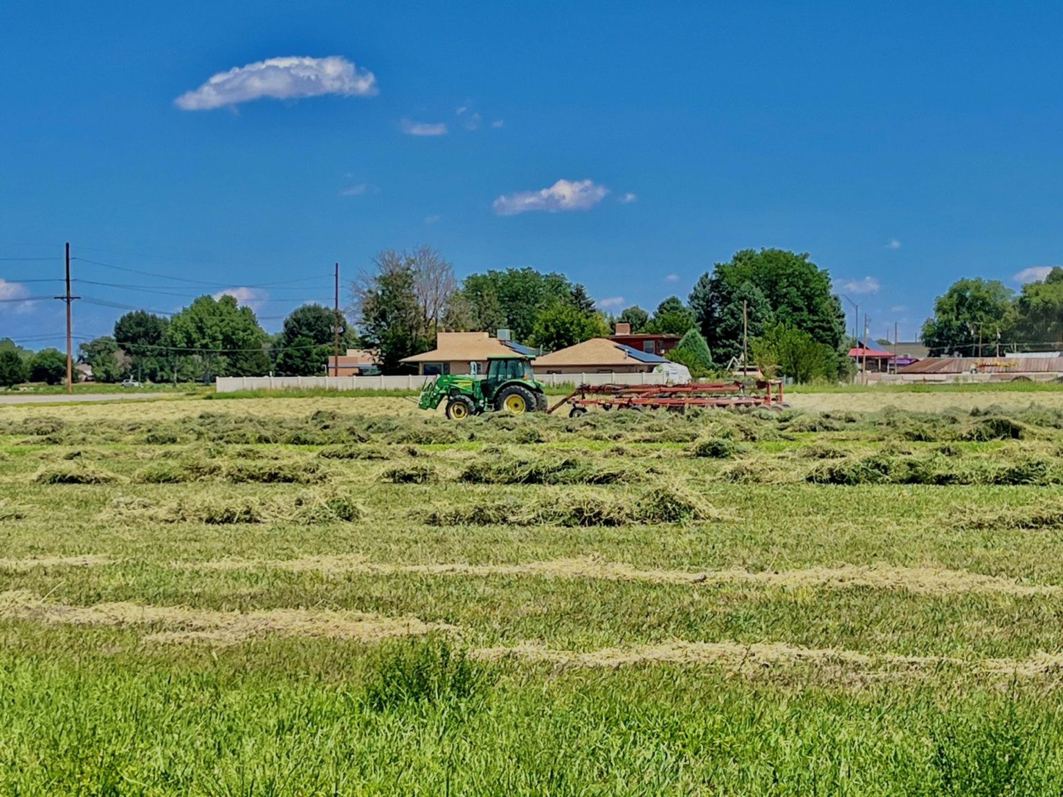 Williams Farm & Seed Company | Pueblo Colorado | Fay Ranches