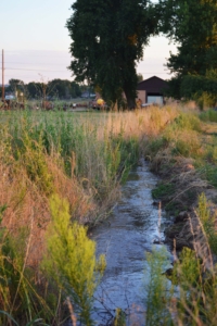 Williams Farm & Seed Company | Pueblo Colorado | Fay Ranches