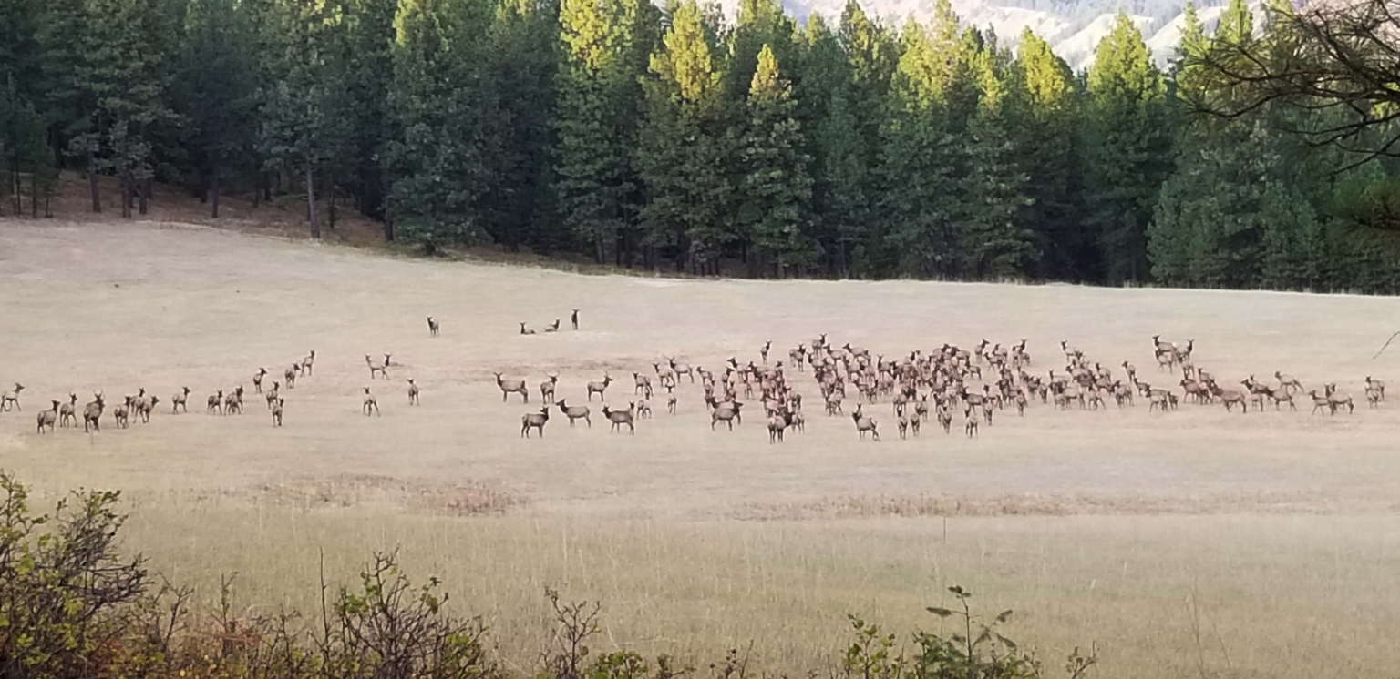 Hansen Ridge Ranch | Anatone Washington | Fay Ranches