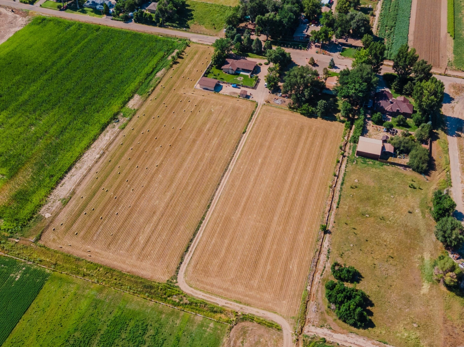 Williams Farm & Seed Company | Pueblo Colorado | Fay Ranches