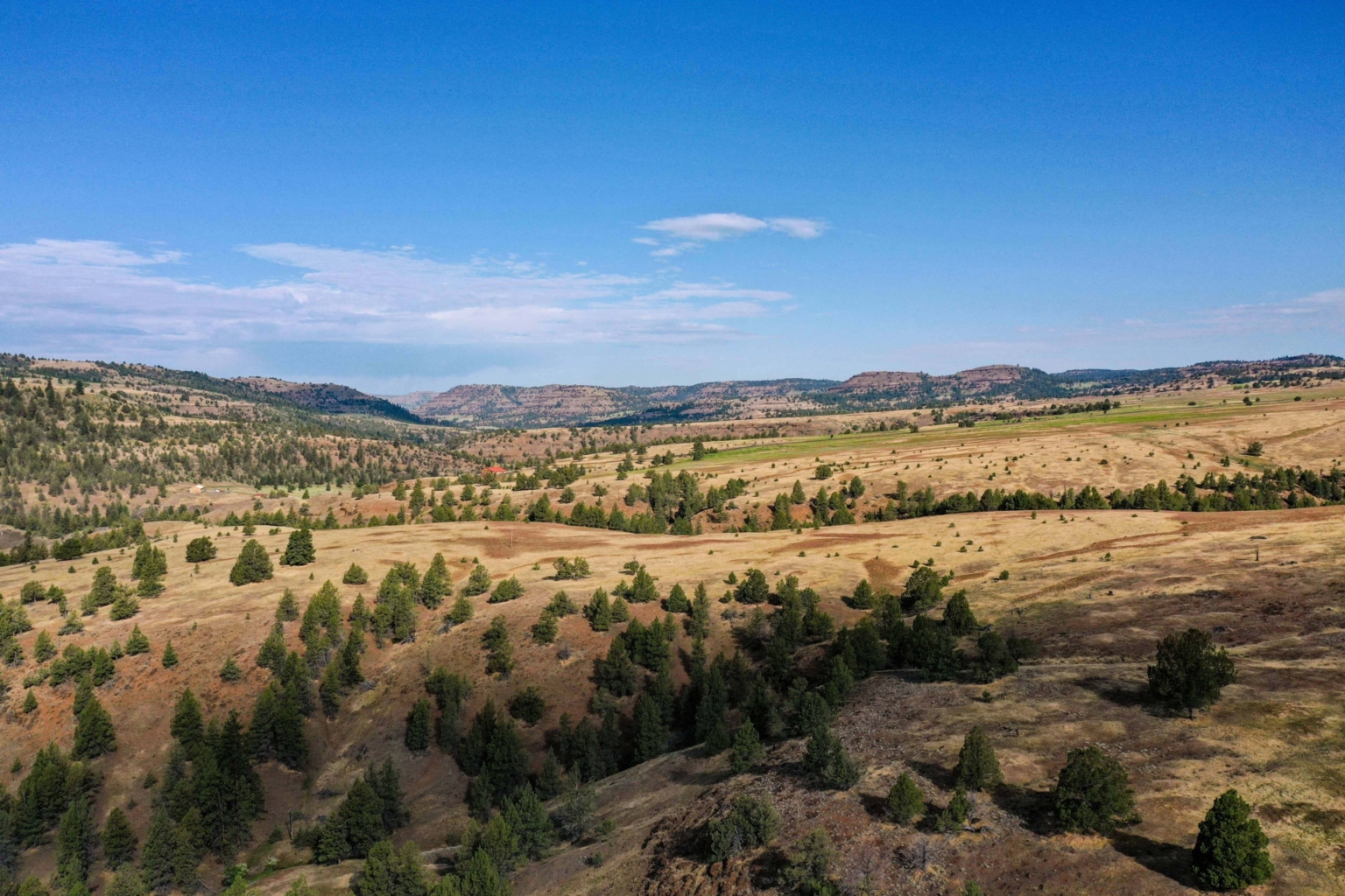 Ritter on the River | Ritter Oregon | Fay Ranches