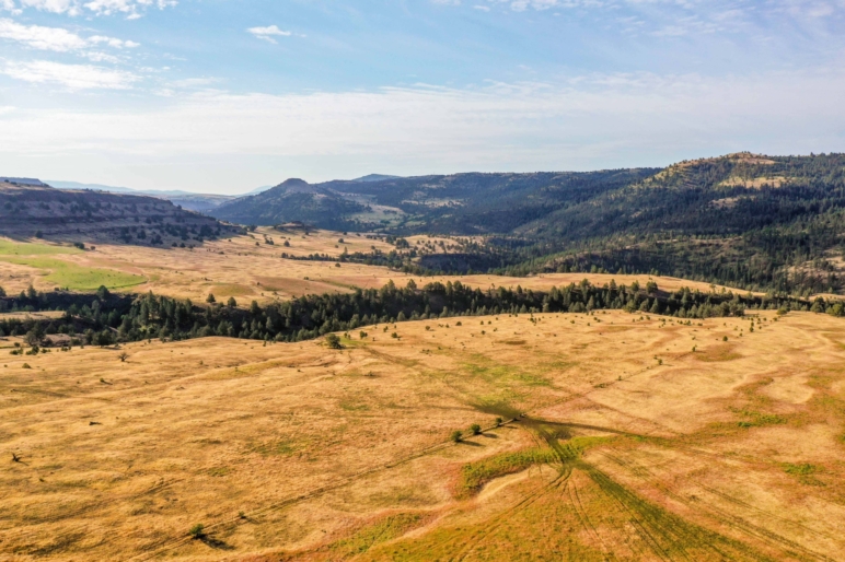 Ritter on the River | Ritter Oregon | Fay Ranches