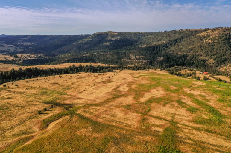 Ritter on the River | Ritter Oregon | Fay Ranches