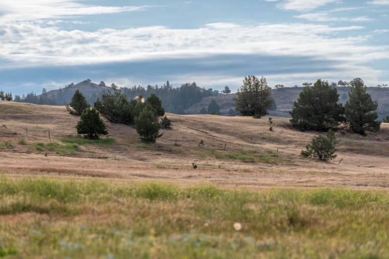 Ritter on the River | Ritter Oregon | Fay Ranches