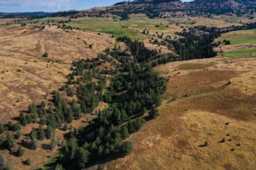 Ritter on the River | Ritter Oregon | Fay Ranches