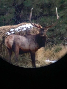 Ritter on the River | Ritter Oregon | Fay Ranches