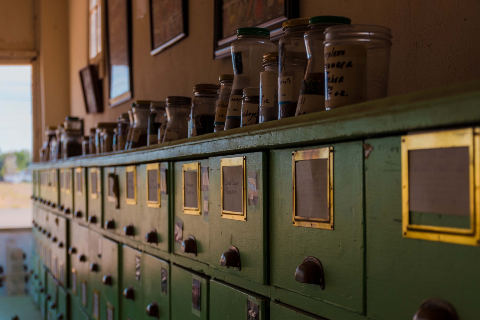 Williams Farm & Seed Company | Pueblo Colorado | Fay Ranches