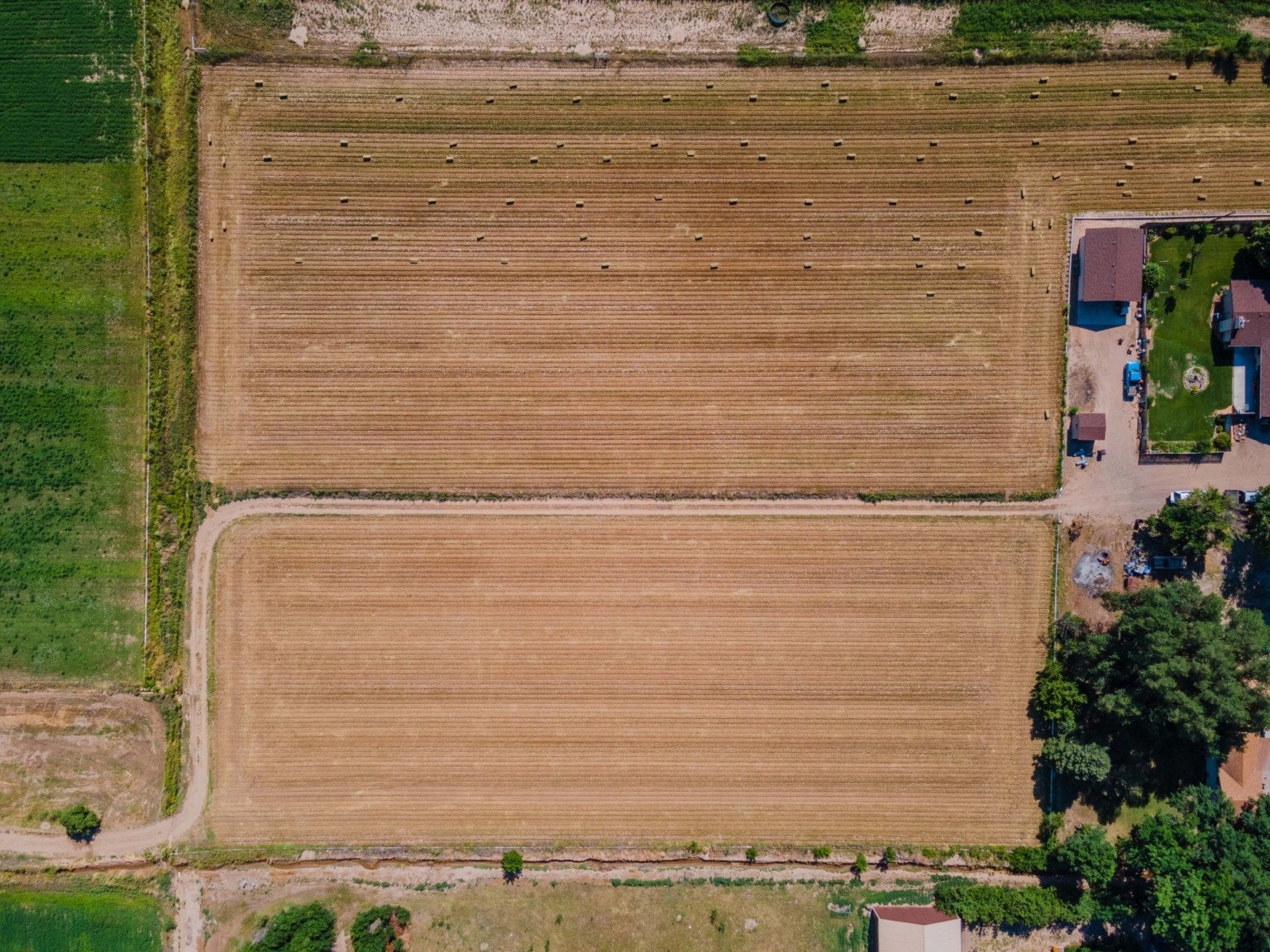 Williams Farm & Seed Company | Pueblo Colorado | Fay Ranches