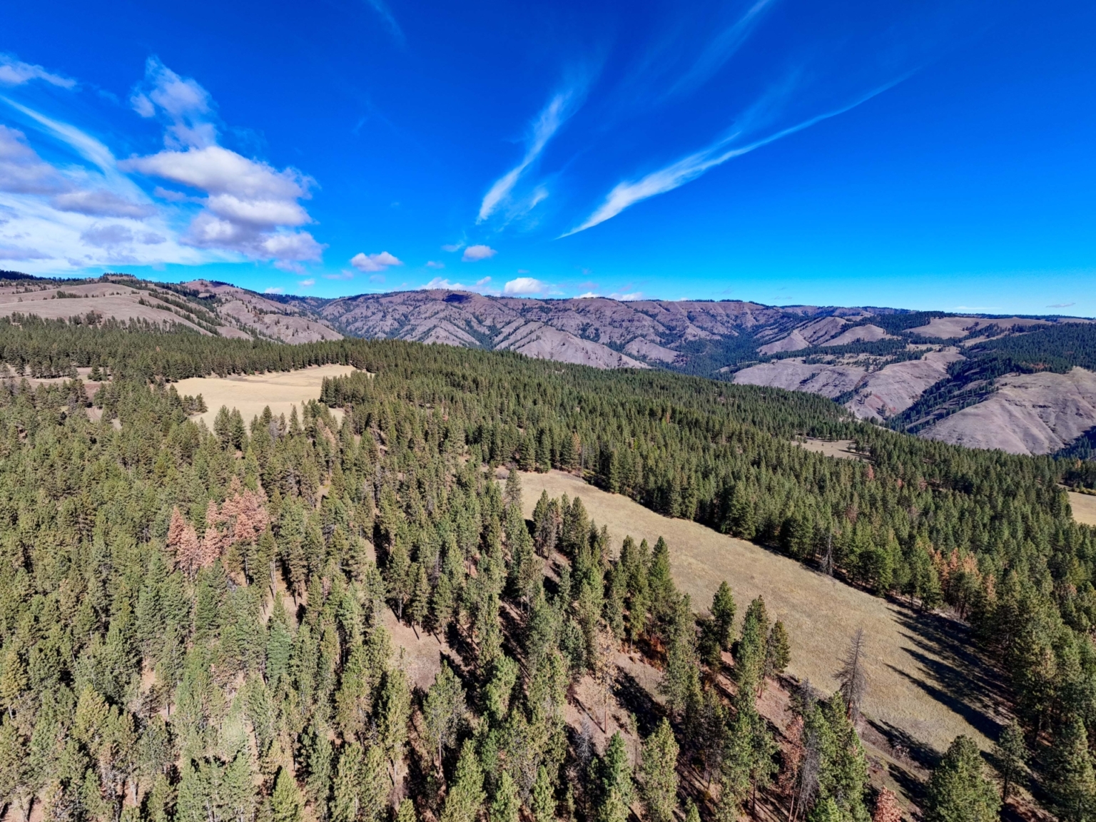 Hansen Ridge Ranch | Anatone Washington | Fay Ranches