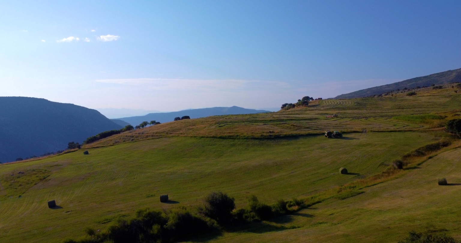 Sweetwater Ranch | Gypsum Colorado | Fay Ranches