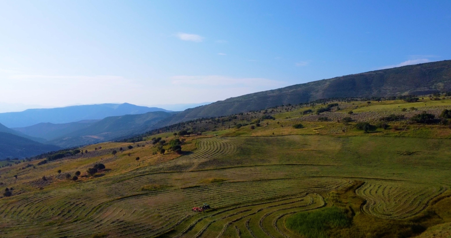 Sweetwater Ranch | Gypsum Colorado | Fay Ranches