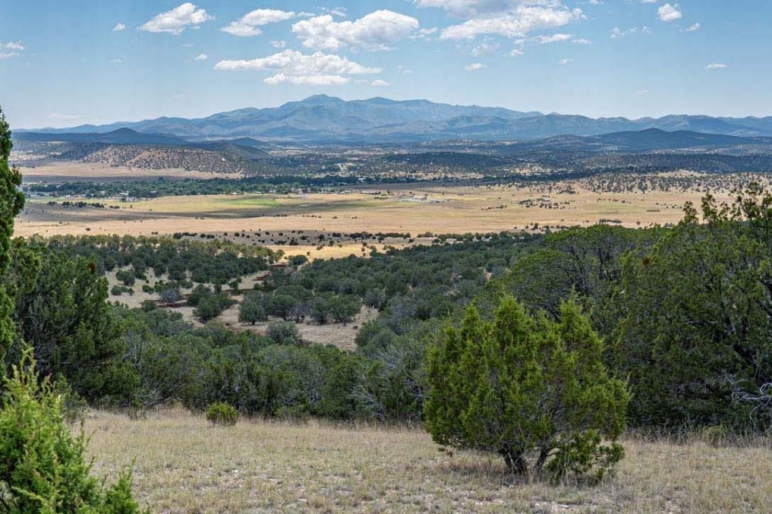 New Mexico Ranch Land Properties For Sale | Fay Ranches
