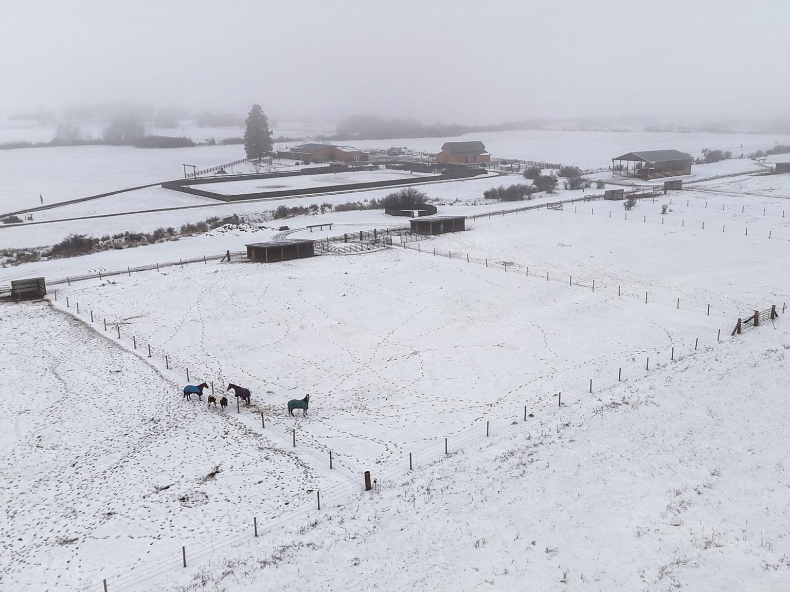Lone Pine Ranch | Ellensburg Washington | Fay Ranches