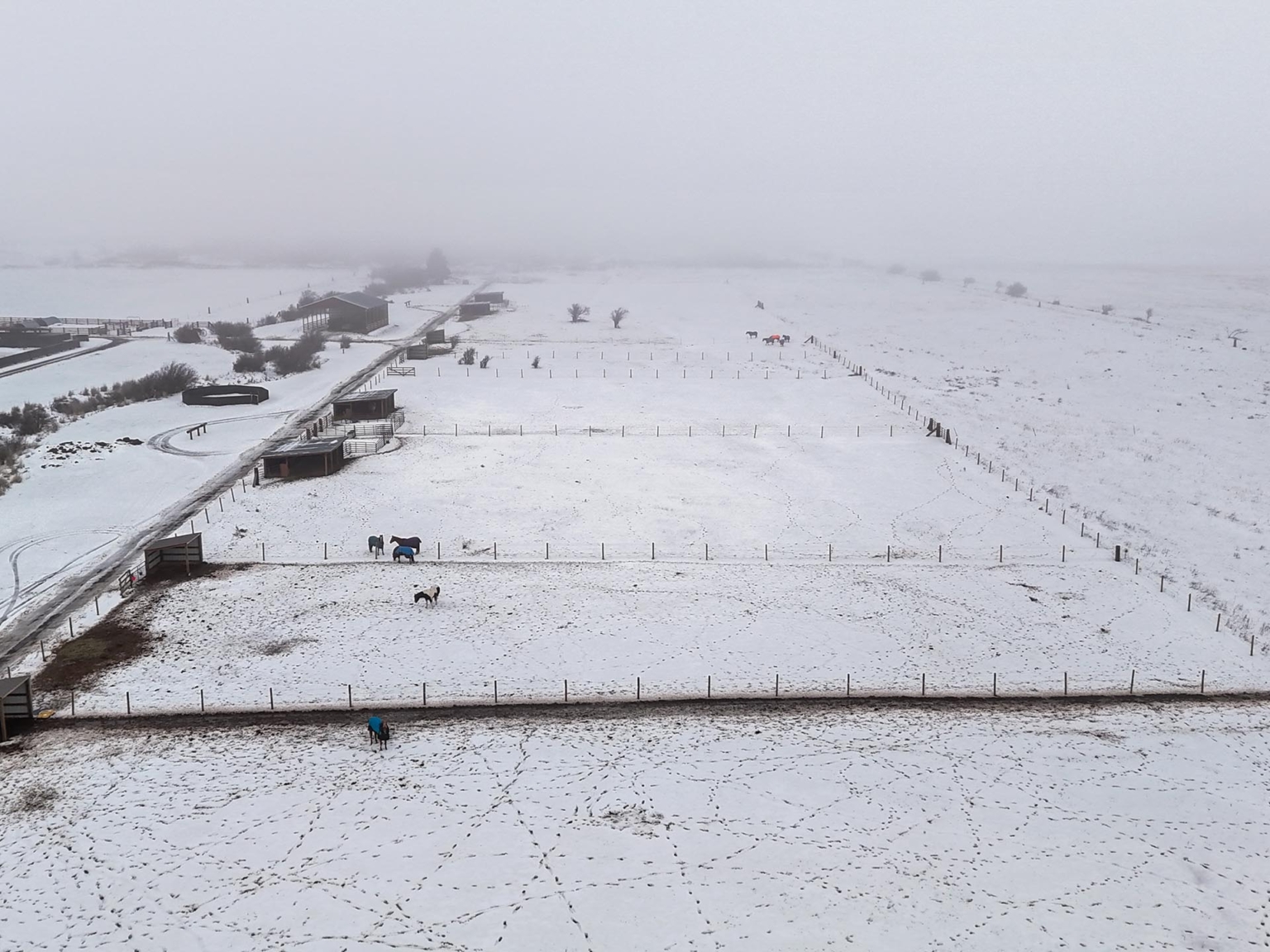 Lone Pine Ranch | Ellensburg Washington | Fay Ranches