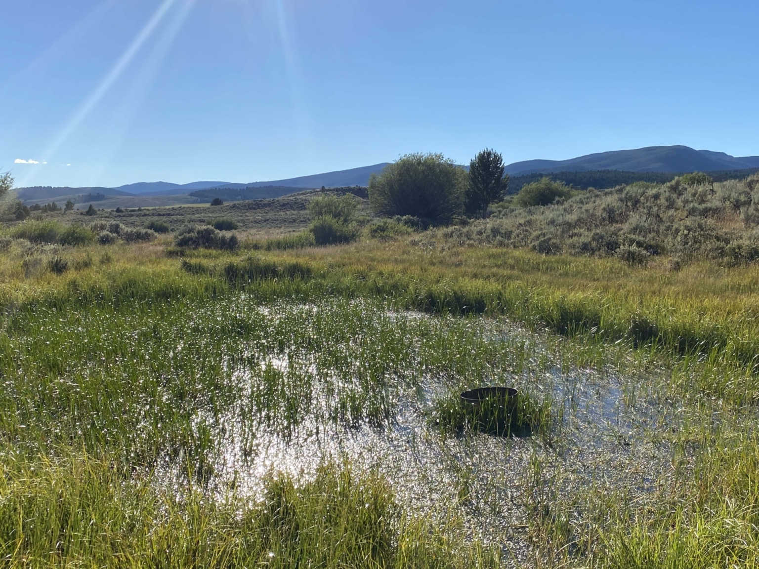 Pintler Creek Ranch | Wisdom Montana | Fay Ranches