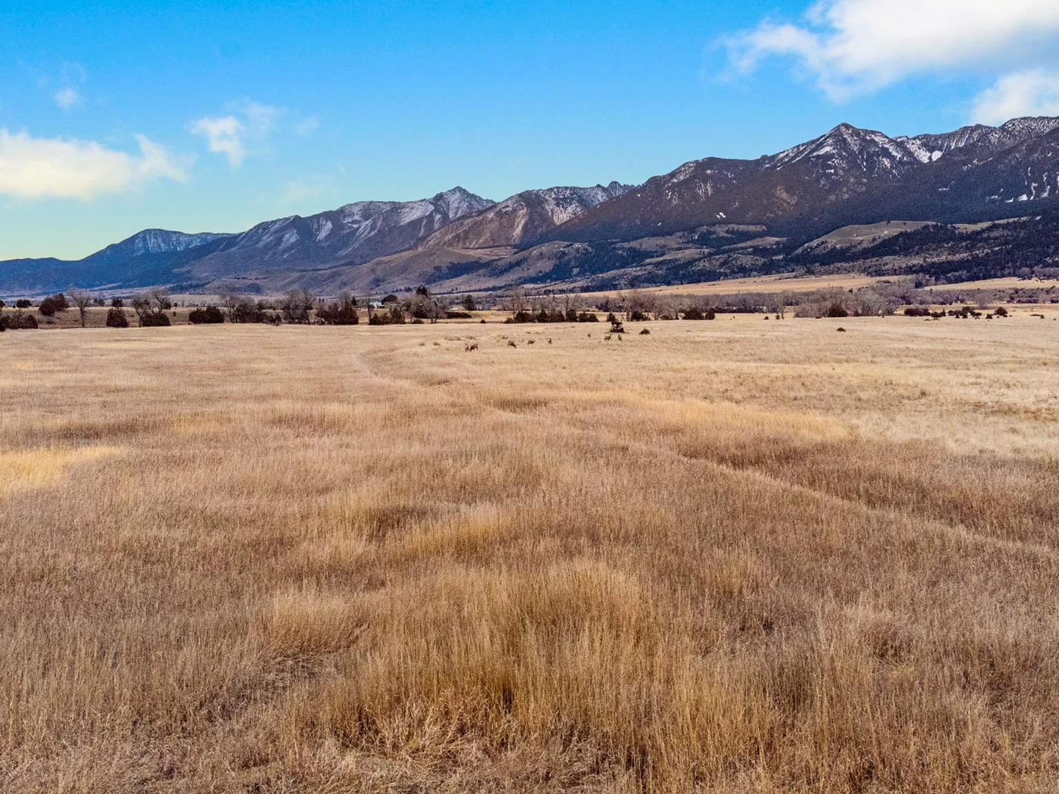 Yellowstone Riverbend | Montana Fishing Property | Fay Ranches