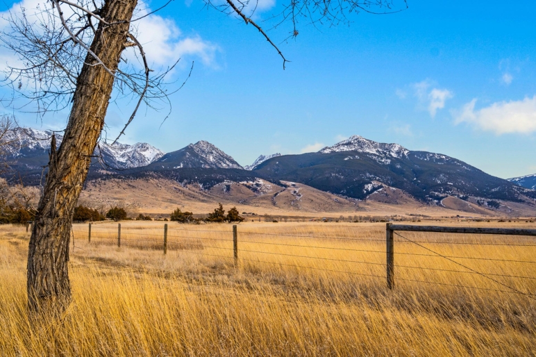 Yellowstone Riverbend | Montana Fishing Property | Fay Ranches