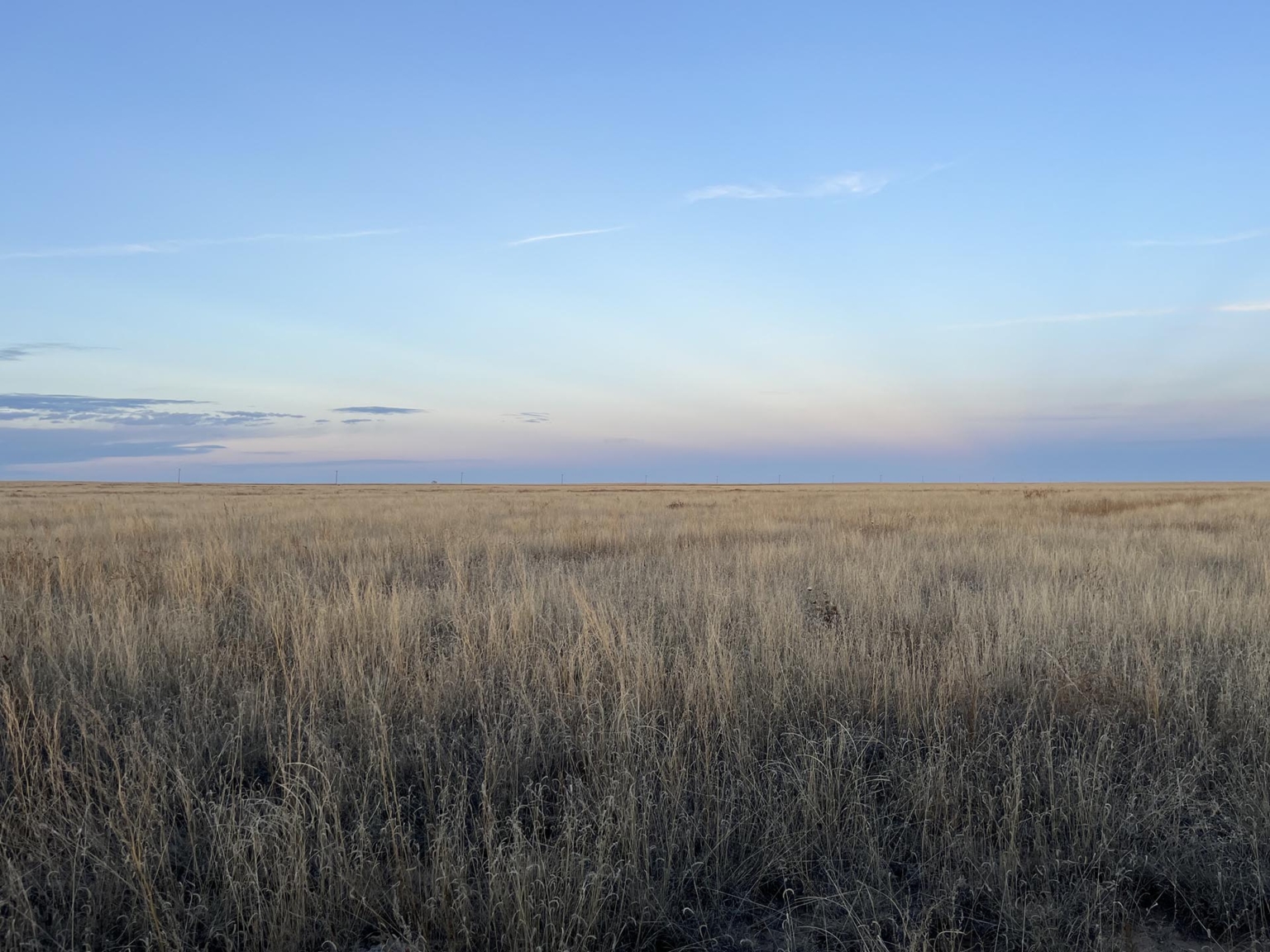 Lowe Ranch | Boone Colorado | Fay Ranches