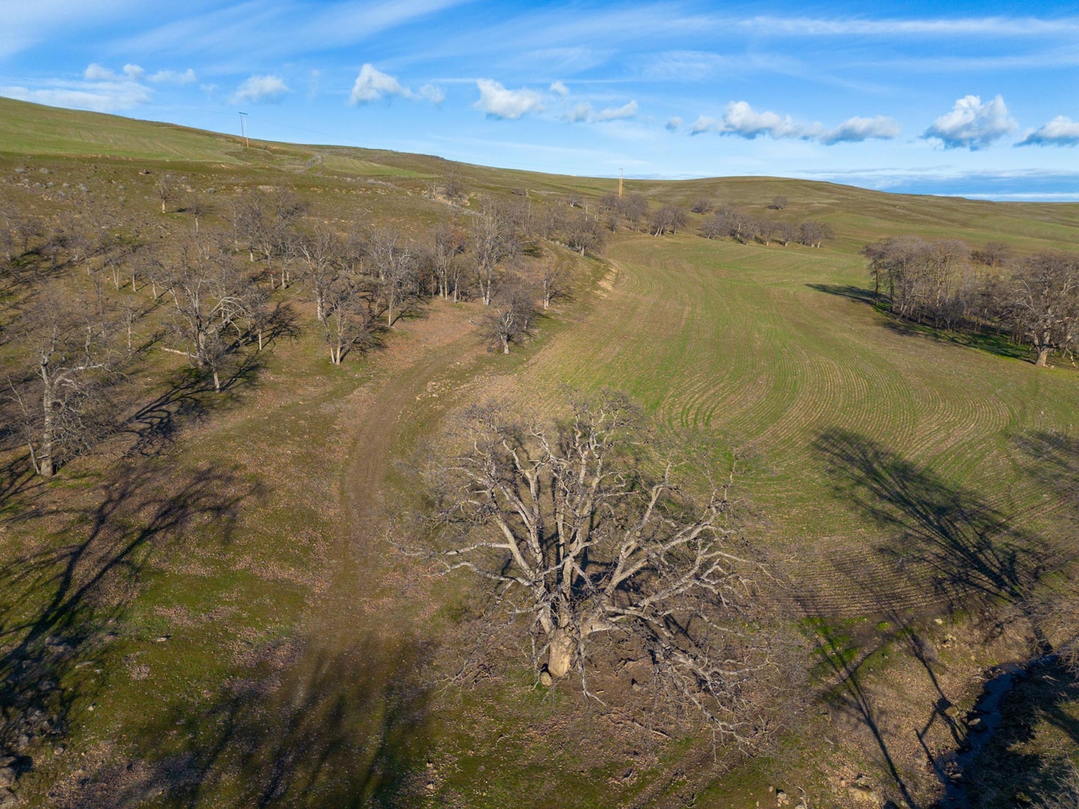 Pine Hollow Farm | Dufur Oregon | Fay Ranches