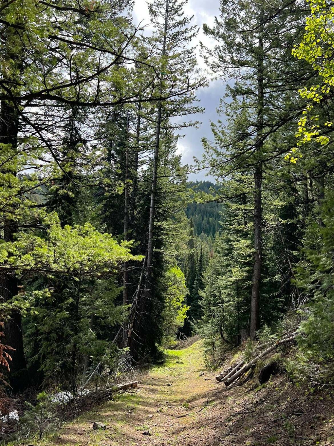 East Dempsey Creek Hideaway | Lava Hot Springs Idaho | Fay Ranches