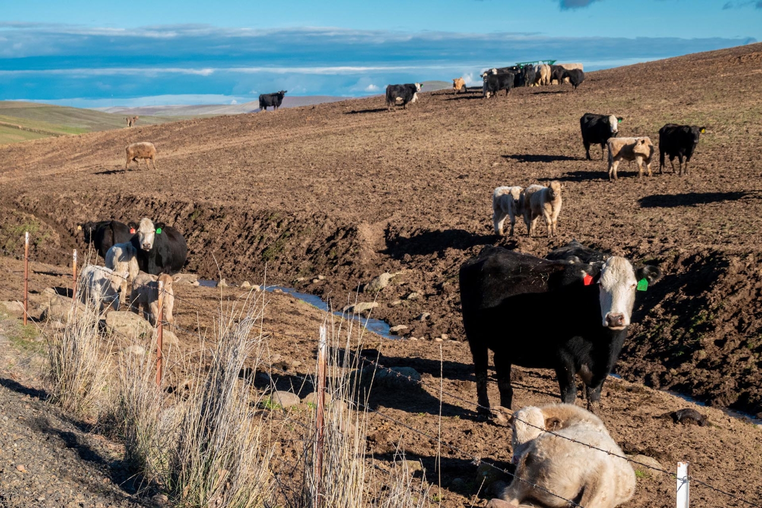 Pine Hollow Farm | Dufur Oregon | Fay Ranches