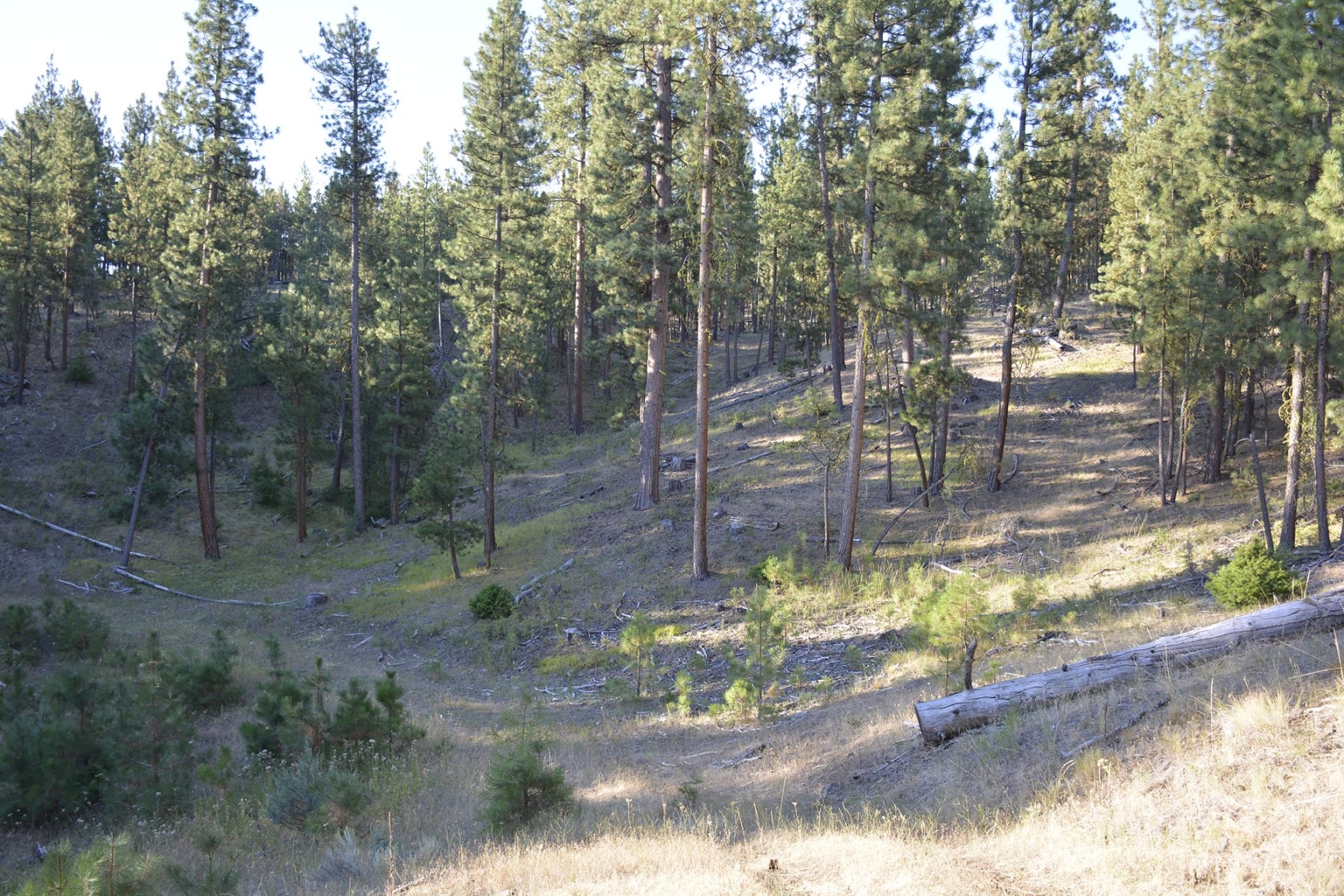 Allen Creek Hunting Retreat | Prineville Oregon | Fay Ranches