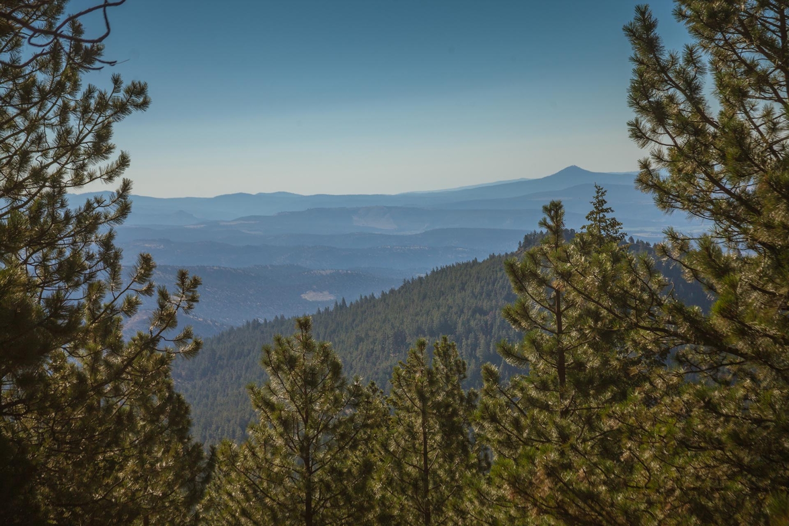 Allen Creek Hunting Retreat | Prineville Oregon | Fay Ranches