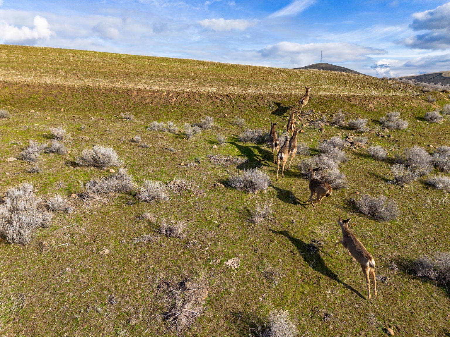 Pine Hollow Farm | Dufur Oregon | Fay Ranches