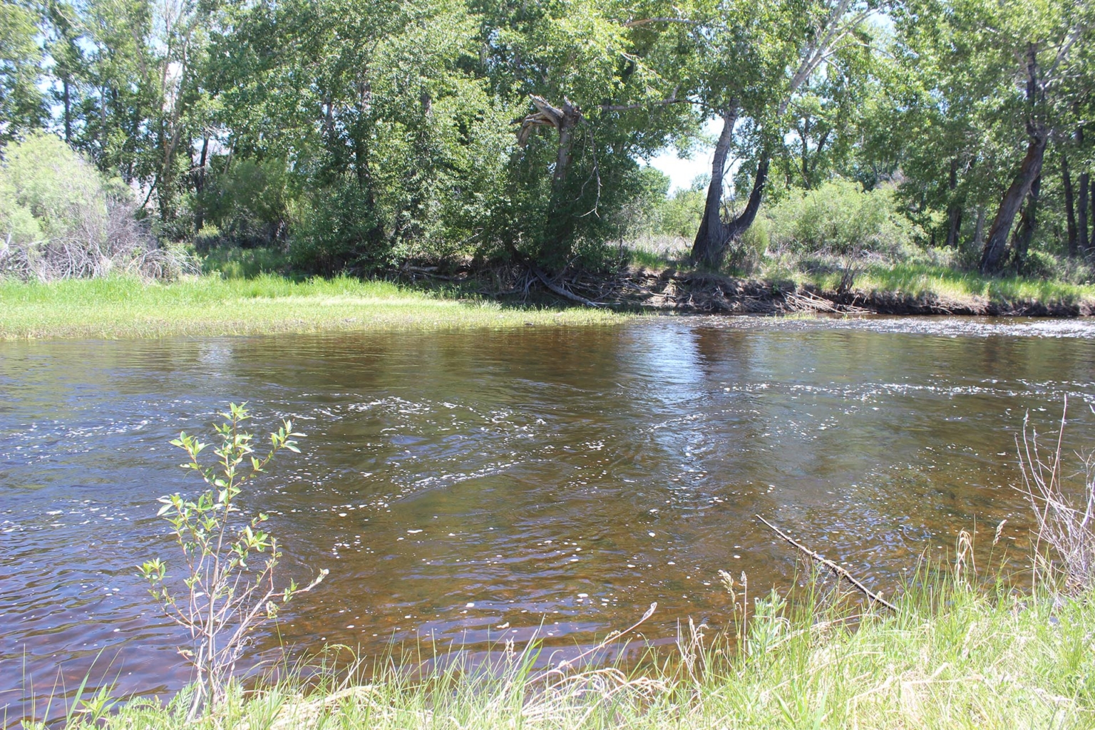 Big Hole River Escape | Melrose Montana | Fay Ranches