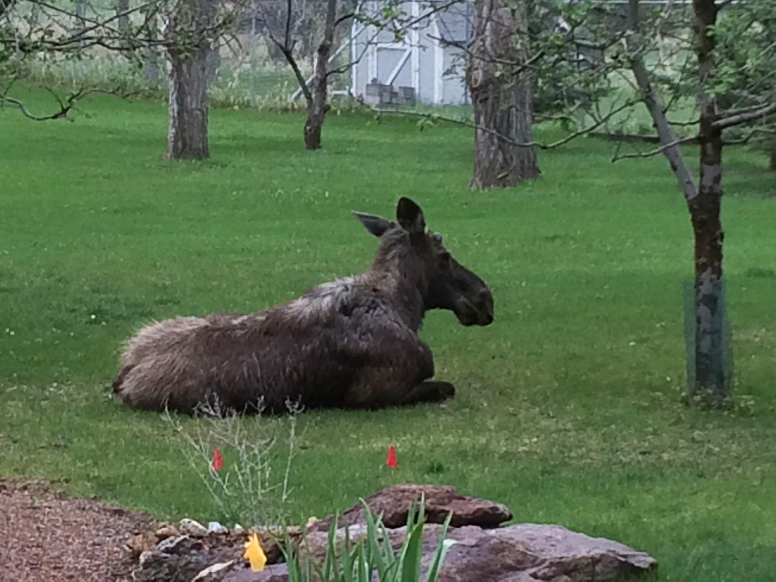 Missouri River Fishing Retreat | Cascade Montana | Fay Ranches