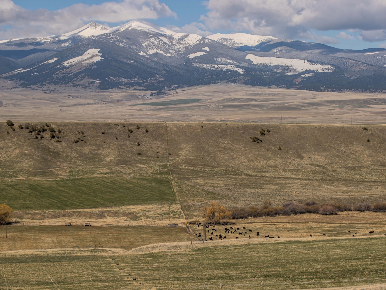Burnt Hollow Ranch | Deer Lodge Montana | Fay Ranches